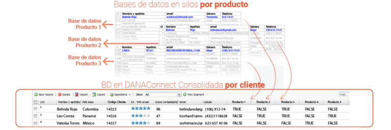 Modelo de datos centrado en el cliente | DANAconnect